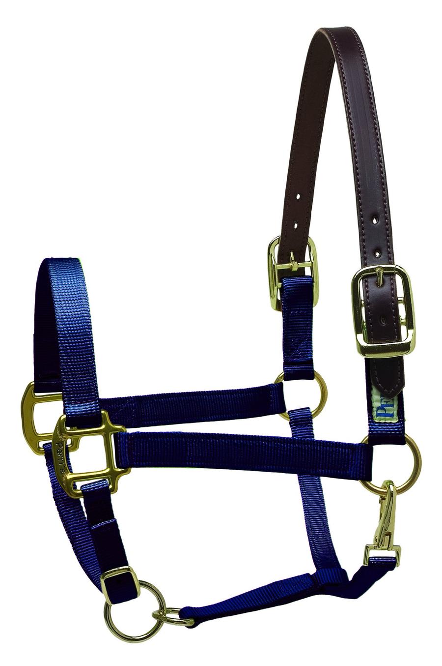Perri's Premium Nylon Safety Halter (Navy Blue) Bridles, Bits ...