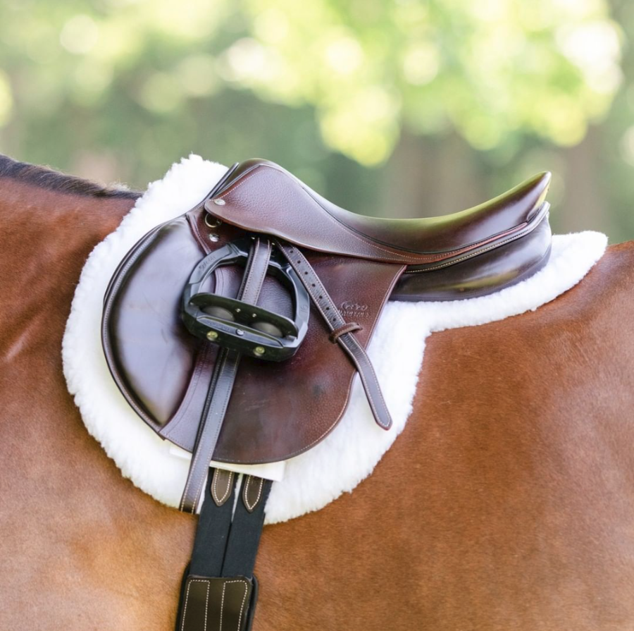 EquiFit Inc Essential Hunter Pad (White) Show Pads at Chagrin Saddlery Main