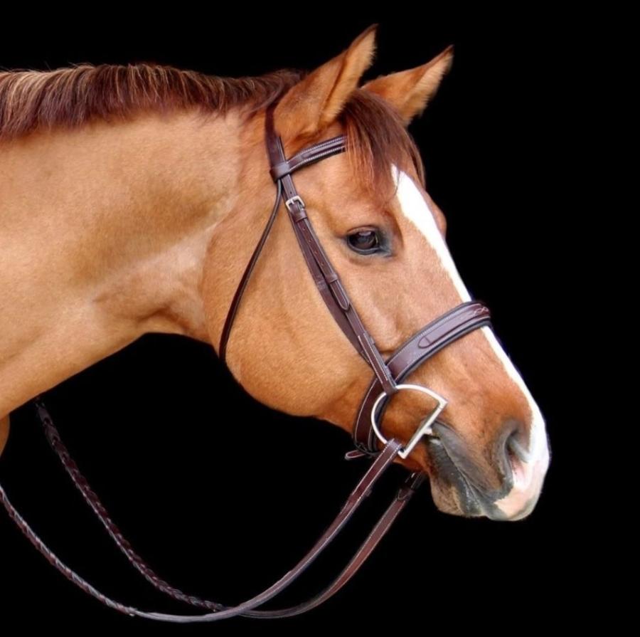 Red Barn Bridlework Tryon Raised Padded Fancy Stitched Bridle Hunter ...