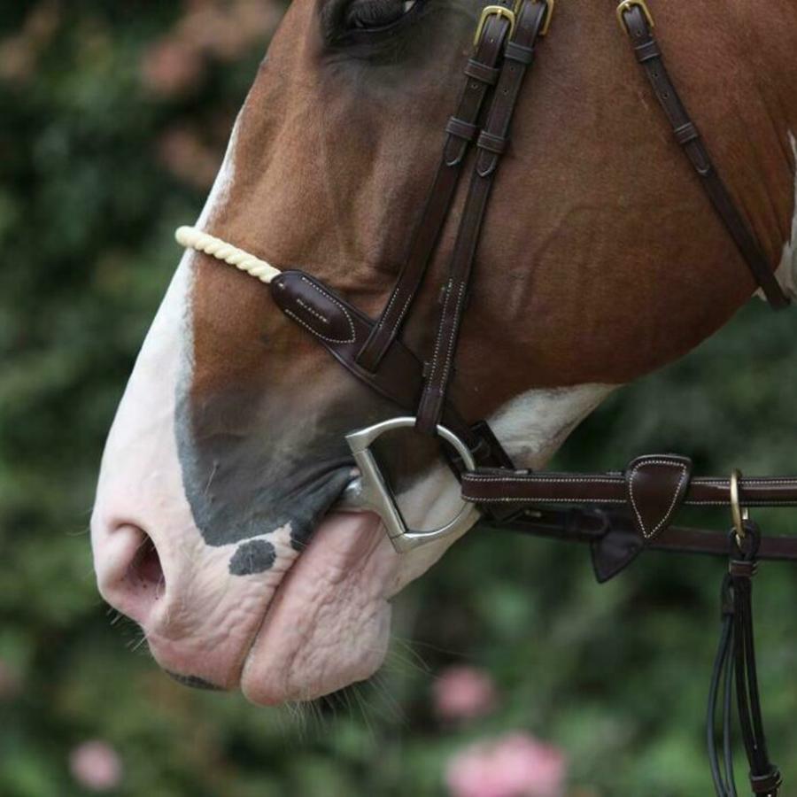 Dy'on Dy'on Collection Rope Noseband Individual Pieces at Chagrin ...