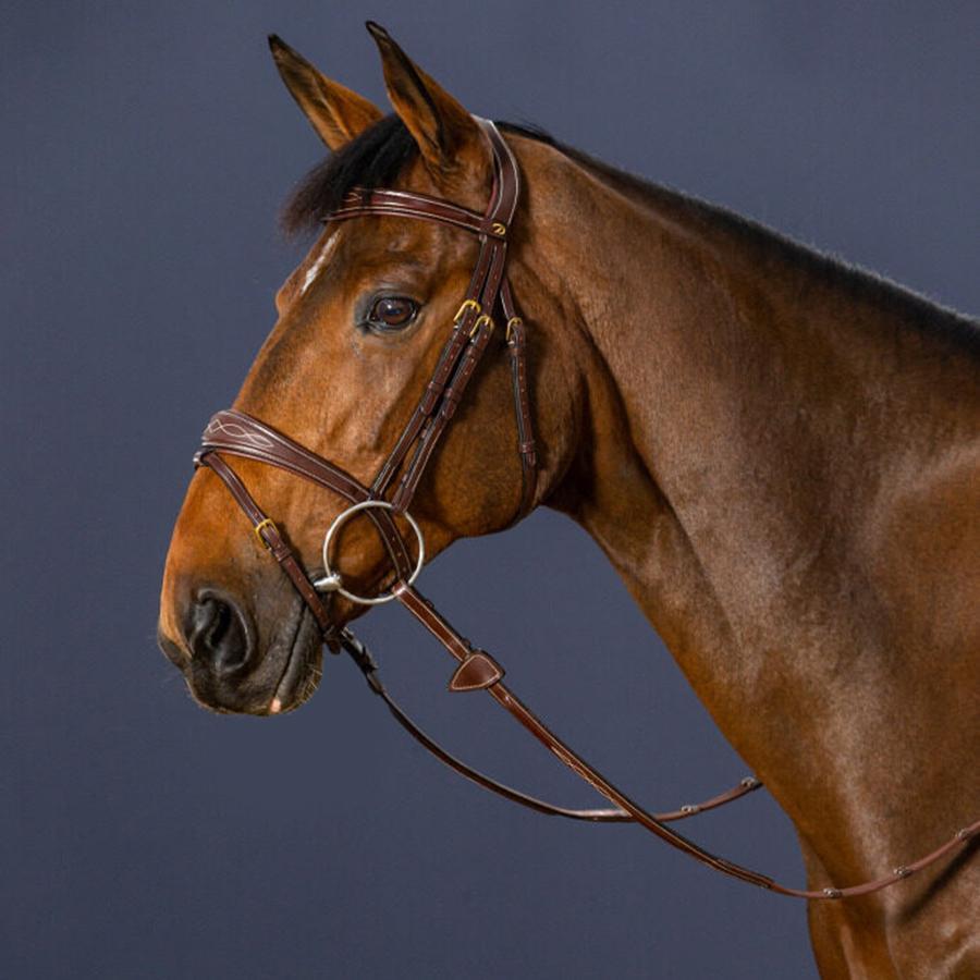 Dy'on Dy'on Collection Anatomic Flash Noseband Bridle Jumper Bridles at ...