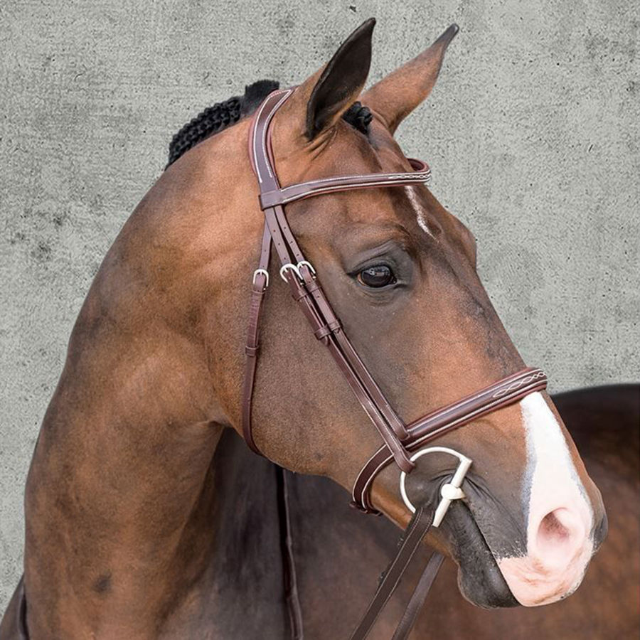 Schockemohle Montreal Select Anatomic Hunter Bridle Hunter Bridles at ...
