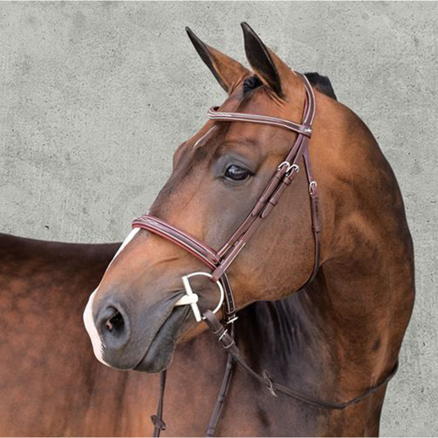 English Equestrian Bridles and Accessories, shop our large selection ...