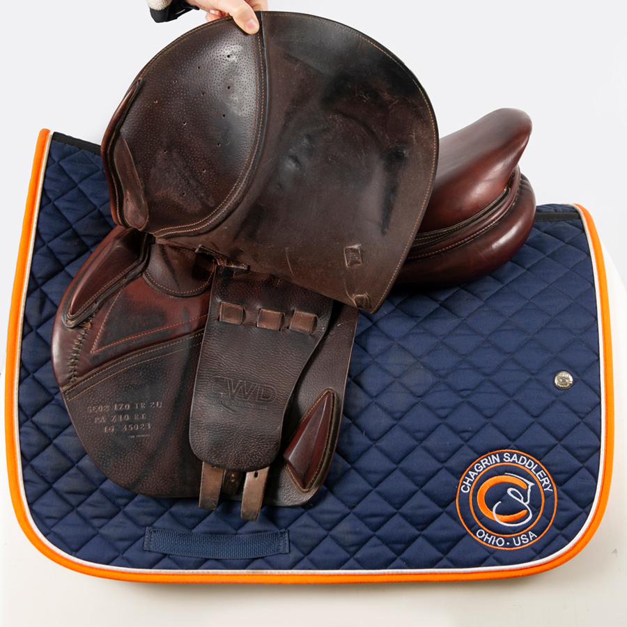 CWD 17 IN CWD SE02 Saddle Medium Tree 2016 Jumping Close-Contact at ...