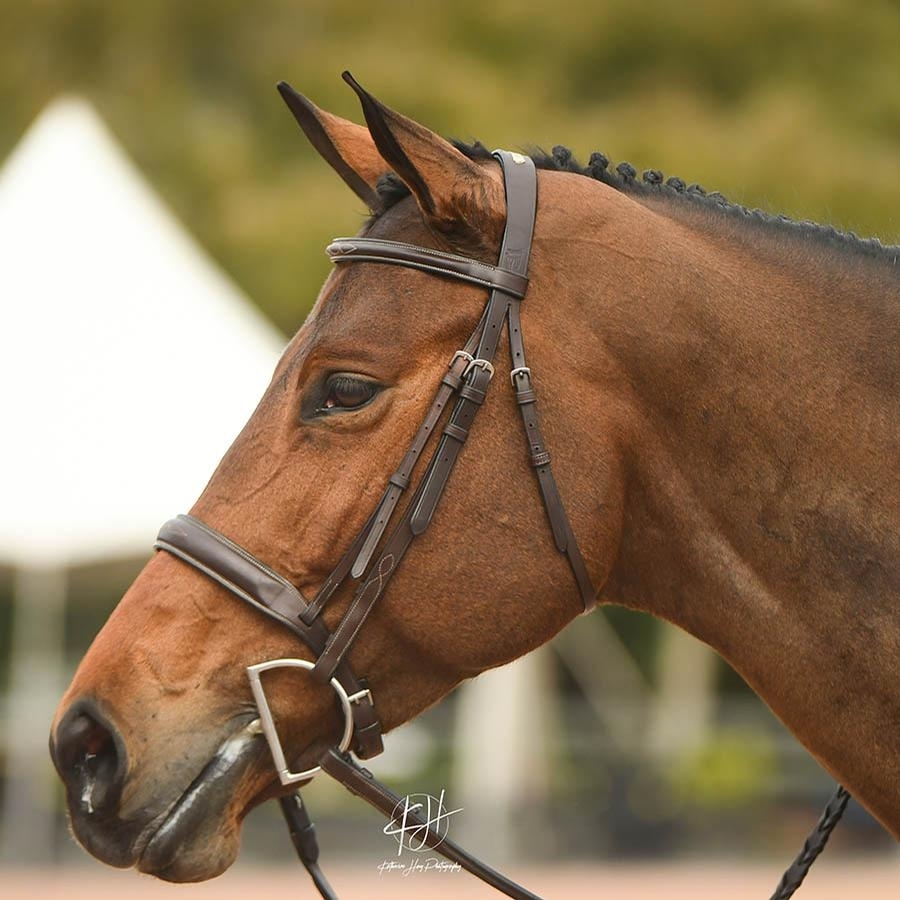 Arc De Triomphe Tack Tribute Bridle with Raised Fancy Laced Reins ...