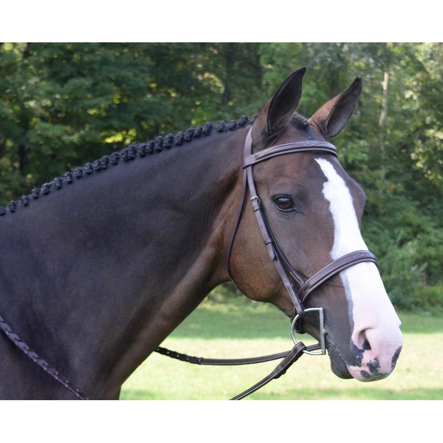 Black Oak Spruce Wide Raised Fancy Stitched Bridle Hunter Bridles at ...