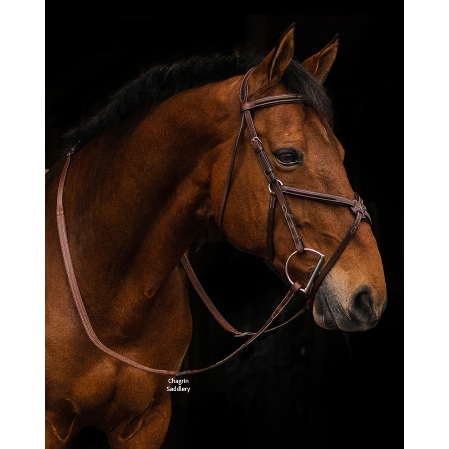 Arc De Triomphe Tack Imperial Raised Fancy Figure 8 Bridle Jumper ...