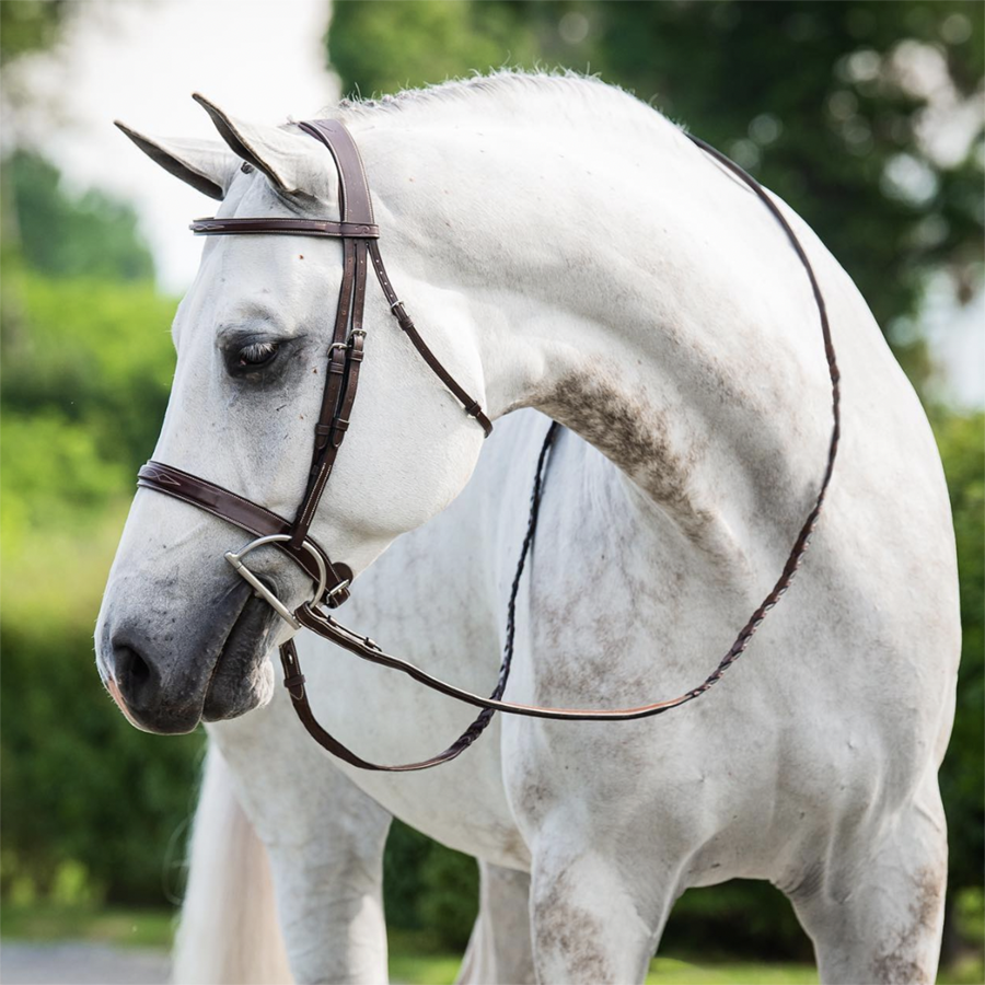 English Equestrian Bridles and Accessories, shop our large selection ...