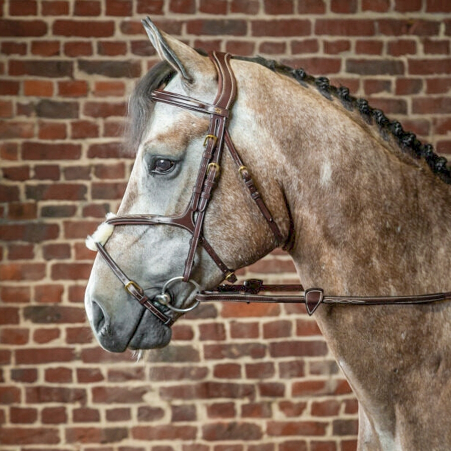 Dy'on Dy'on Collection Figure 8 Noseband Bridle Jumper Bridles at ...