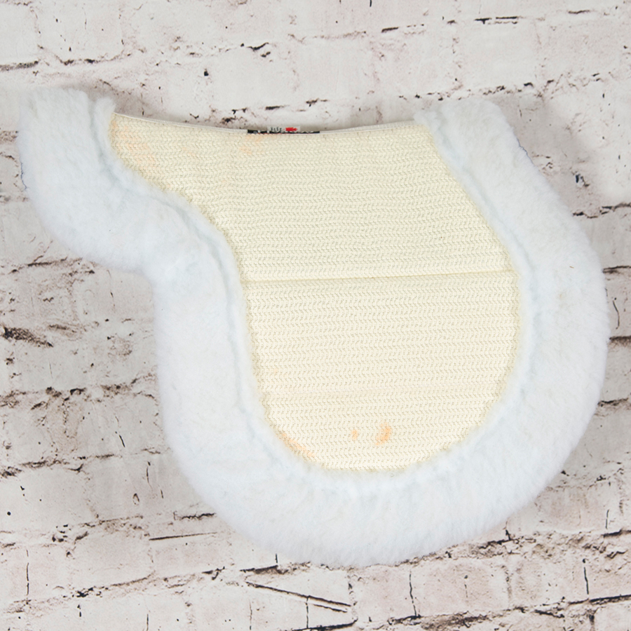 EcoGold Consigned Stabilizer Hunter Pad (Small 15-15.5 IN) Tack and ...