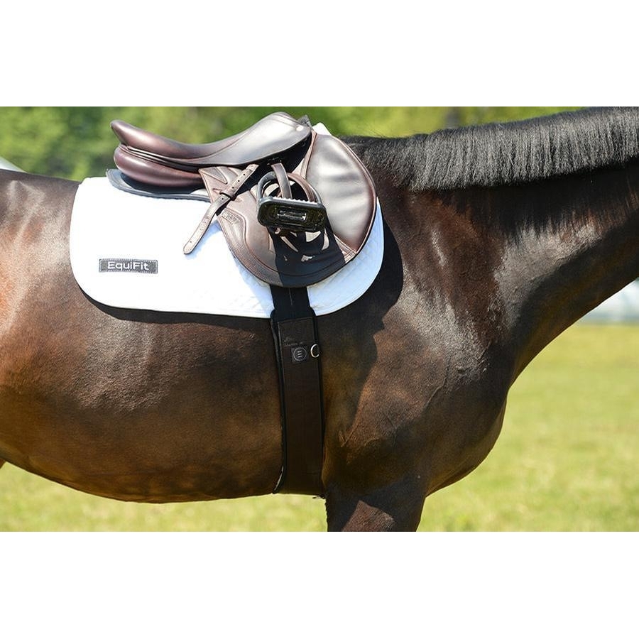 EquiFit Inc Essential Schooling Girth with Sheepswool Liner Hunter ...