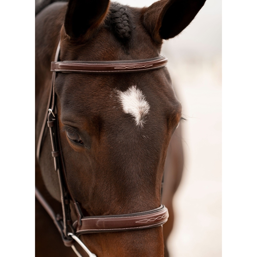 Red Barn Bridlework Tryon Raised Padded Fancy Stitched Bridle Hunter ...