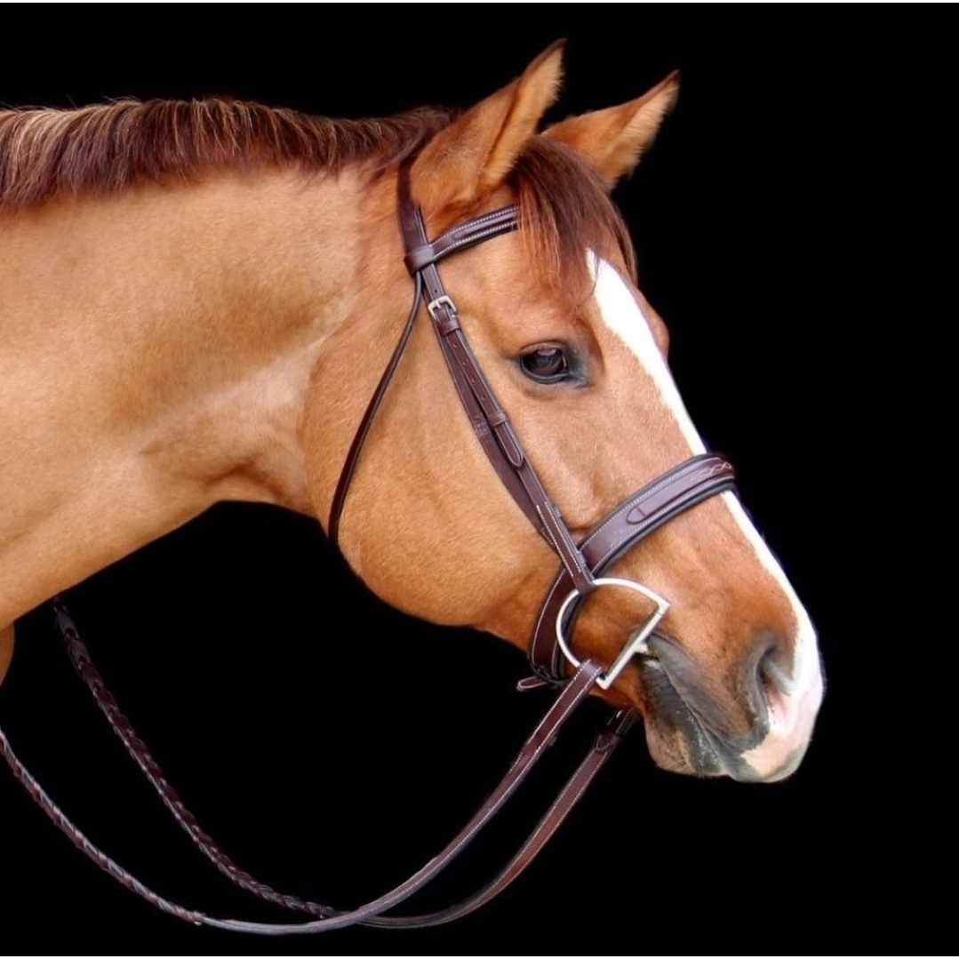 English Equestrian Bridles and Accessories, shop our large selection ...