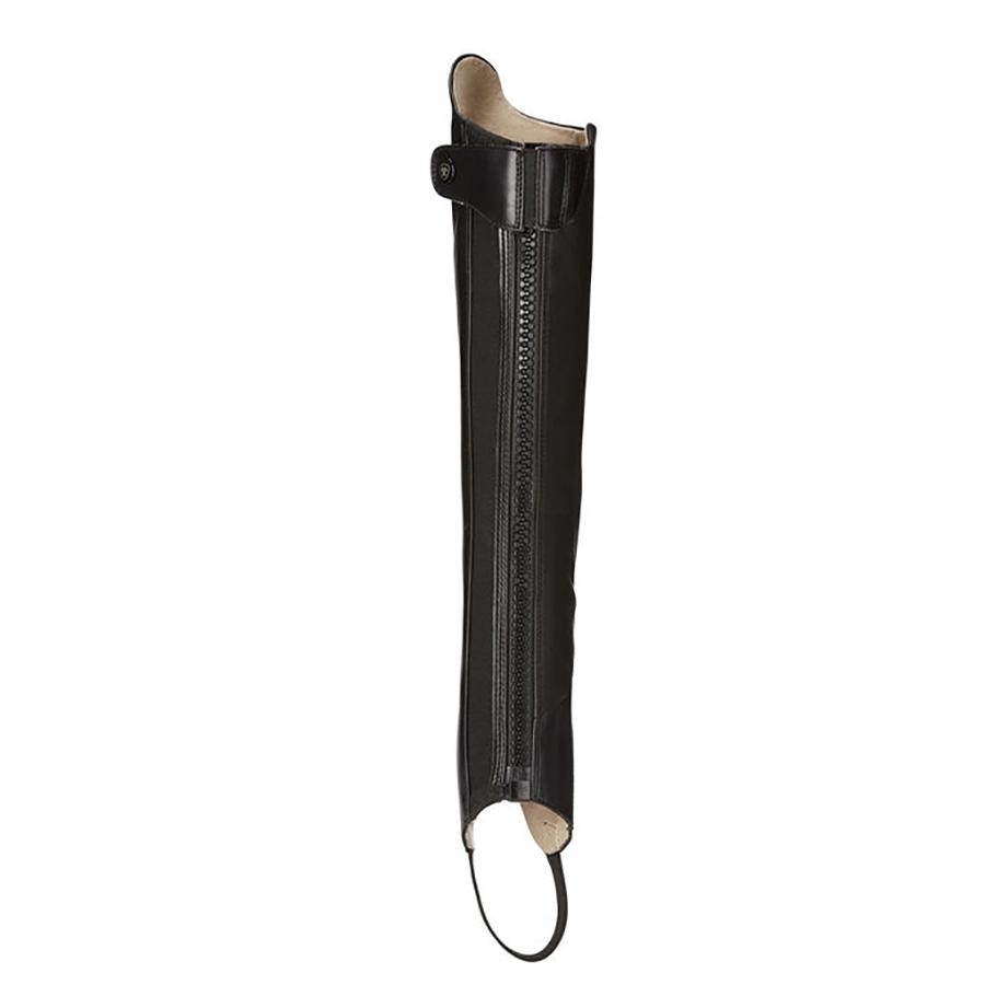 Ariat ADT Kendron Half Chaps Adult Half Chaps at Chagrin Saddlery Main