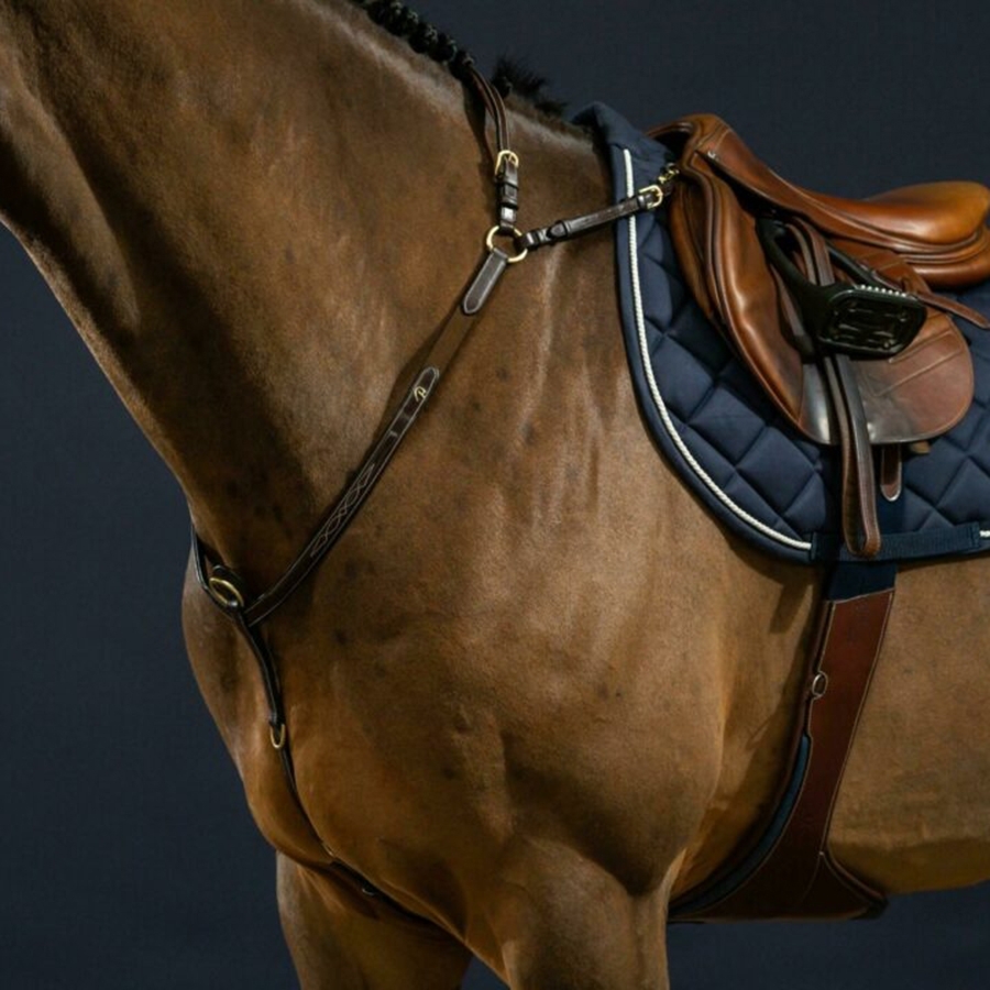 Dy'on Dy'on Collection Fancy Breastplate with Bridge Bridles, Bits ...