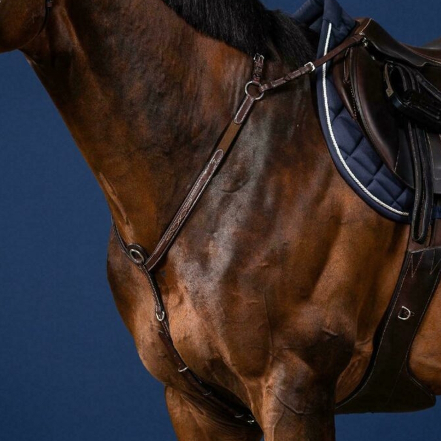 3 Point Collegiate Essentials 5-Point Breastplate Horse Reins Neck