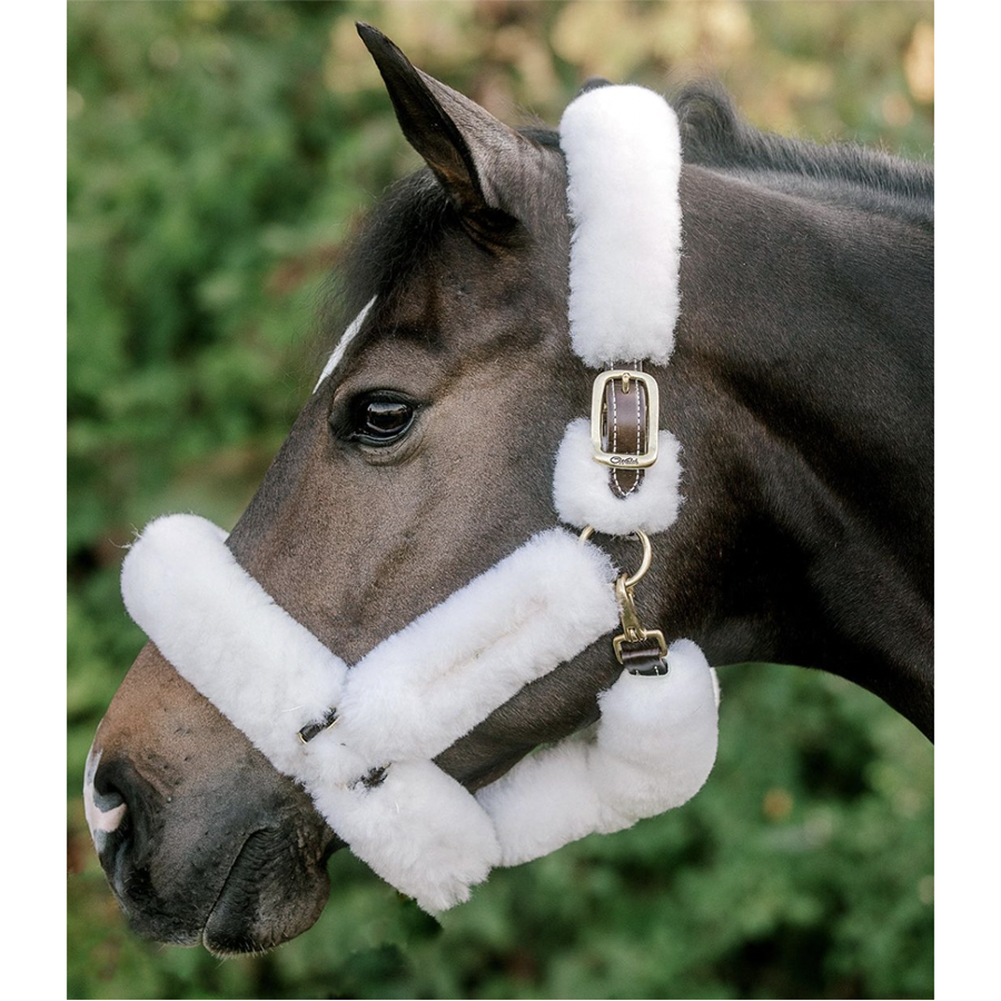 Walsh Leather Sheepskin Shipping Halter Bridles, Bits, Martingales, and ...