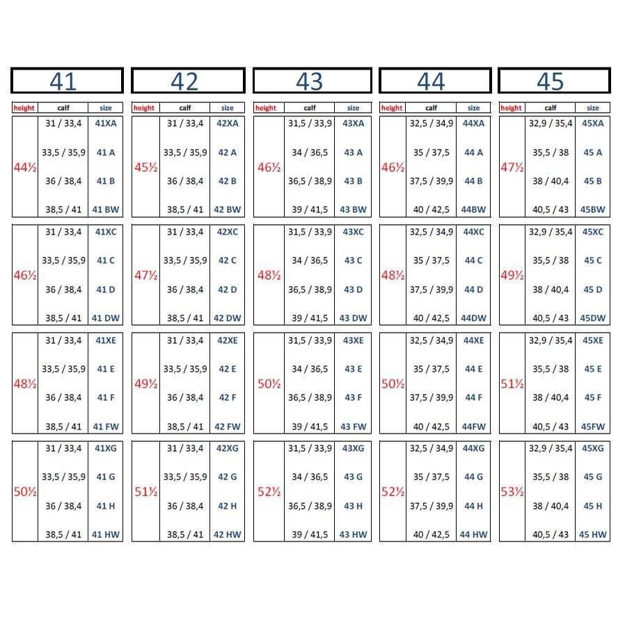 Tucci Special Design Sofia Dress Boot with Toe Cap and Border Tall ...