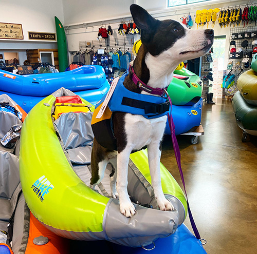 Down River Equipment