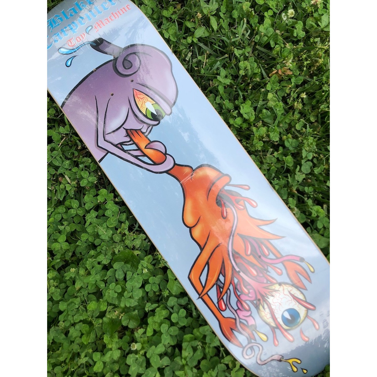 Toy Machine Sect Character