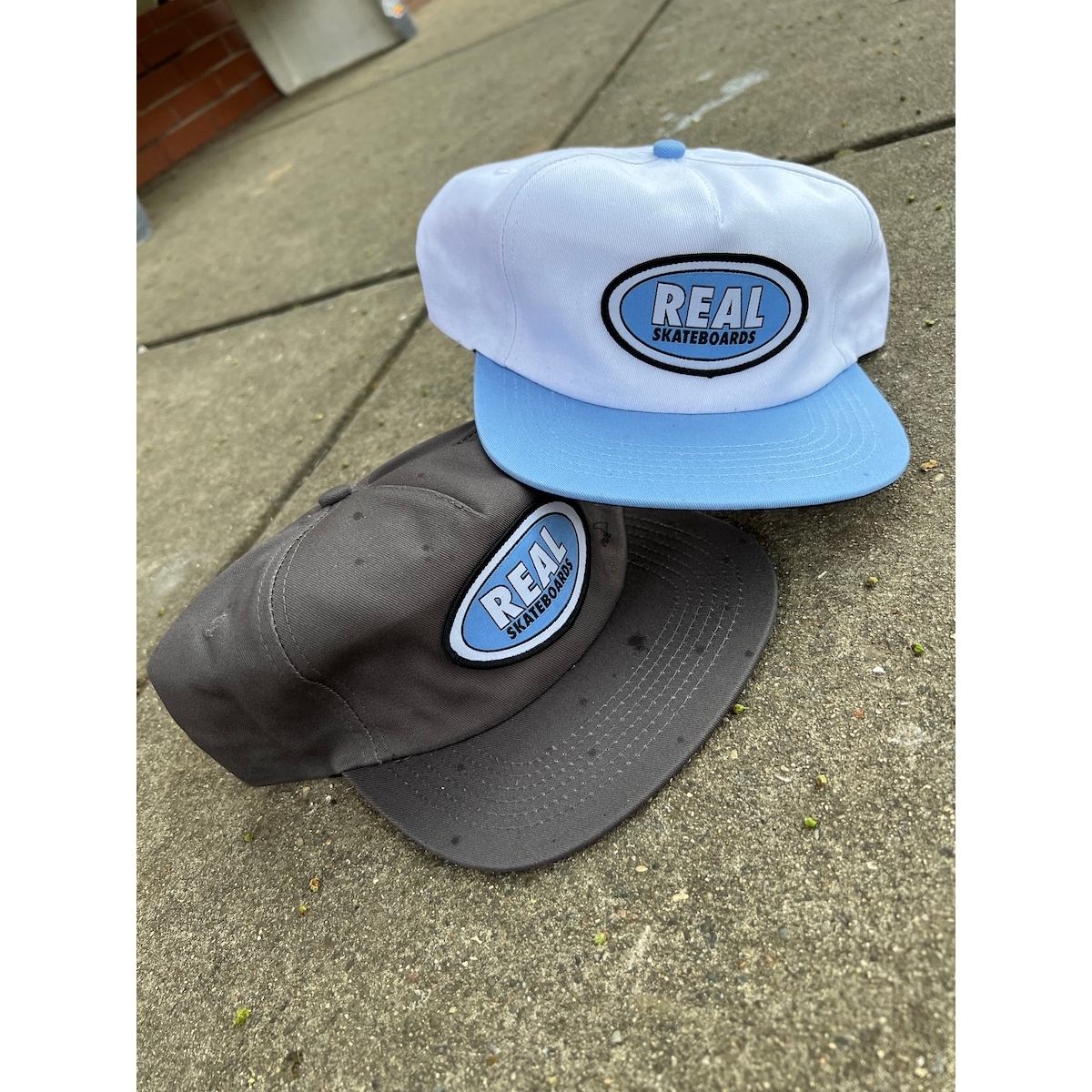 Oval Snapback