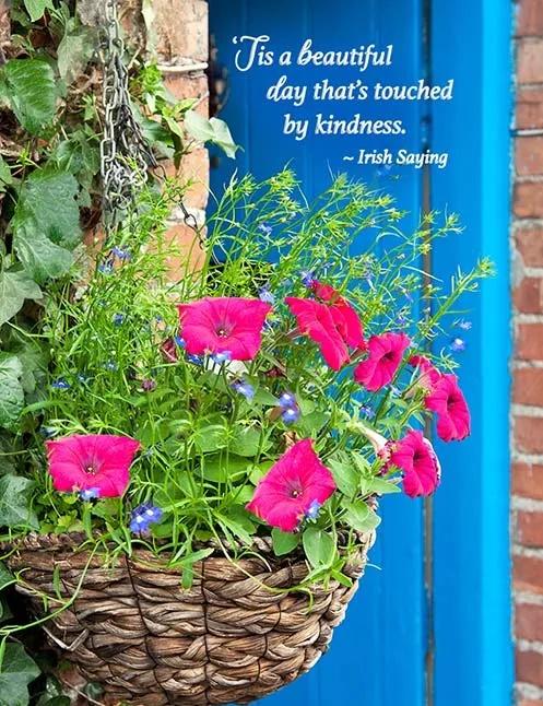 Mundo Images Irish Thank You Card 10-Pack Gifts Cards at Irish on Grand