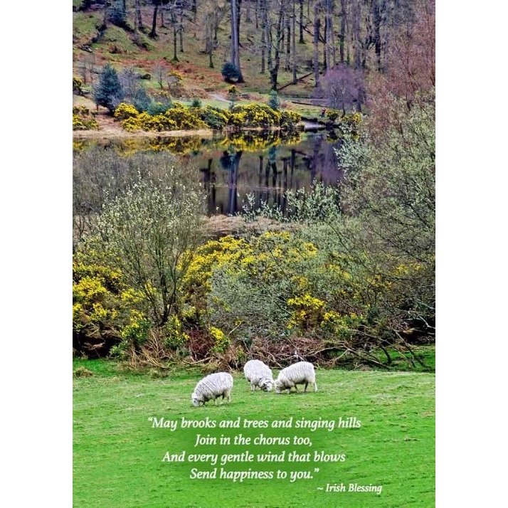 Mundo Images Irish Landscape Get Well Card Gifts Cards at Irish on Grand