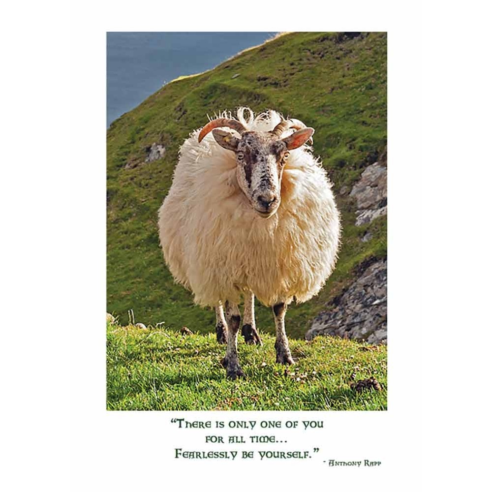 Mundo Images Irish Sheep Birthday Card Gifts Cards at Irish on Grand