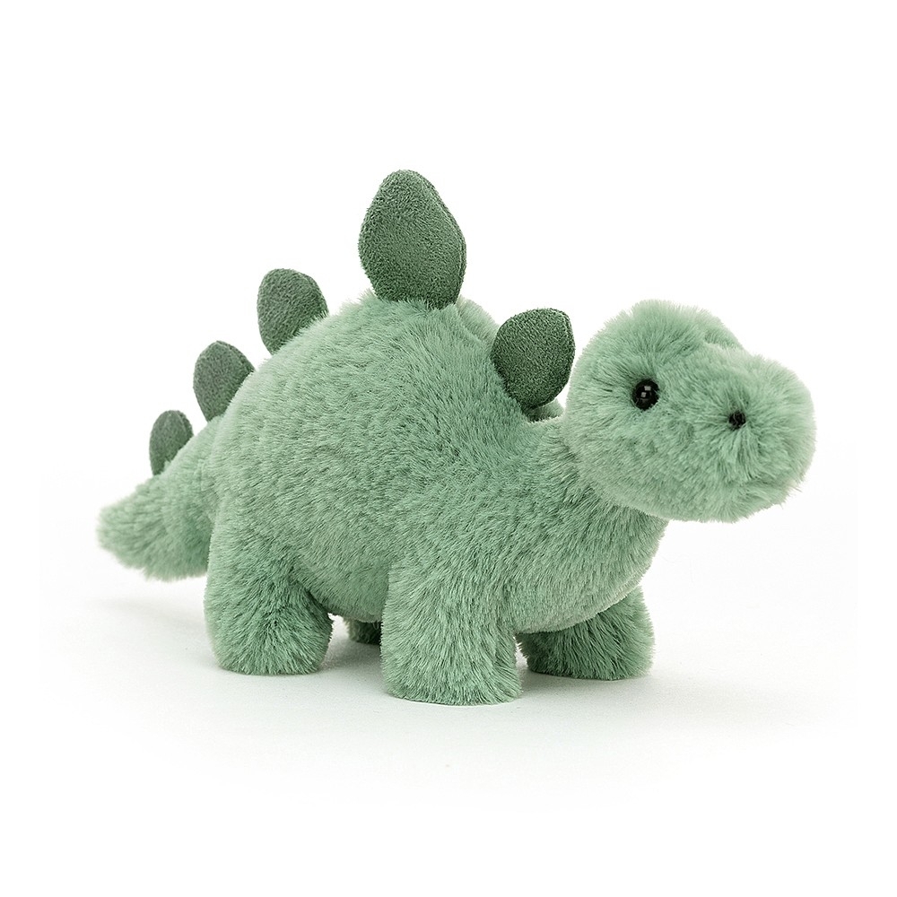 Baby Stegosaurus Book