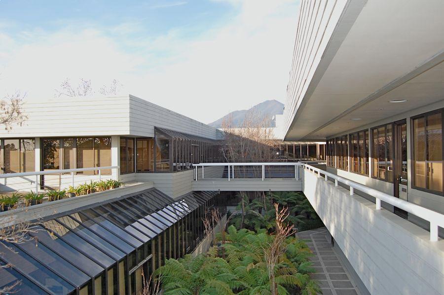 A Small Office Building Circulation Courtyard