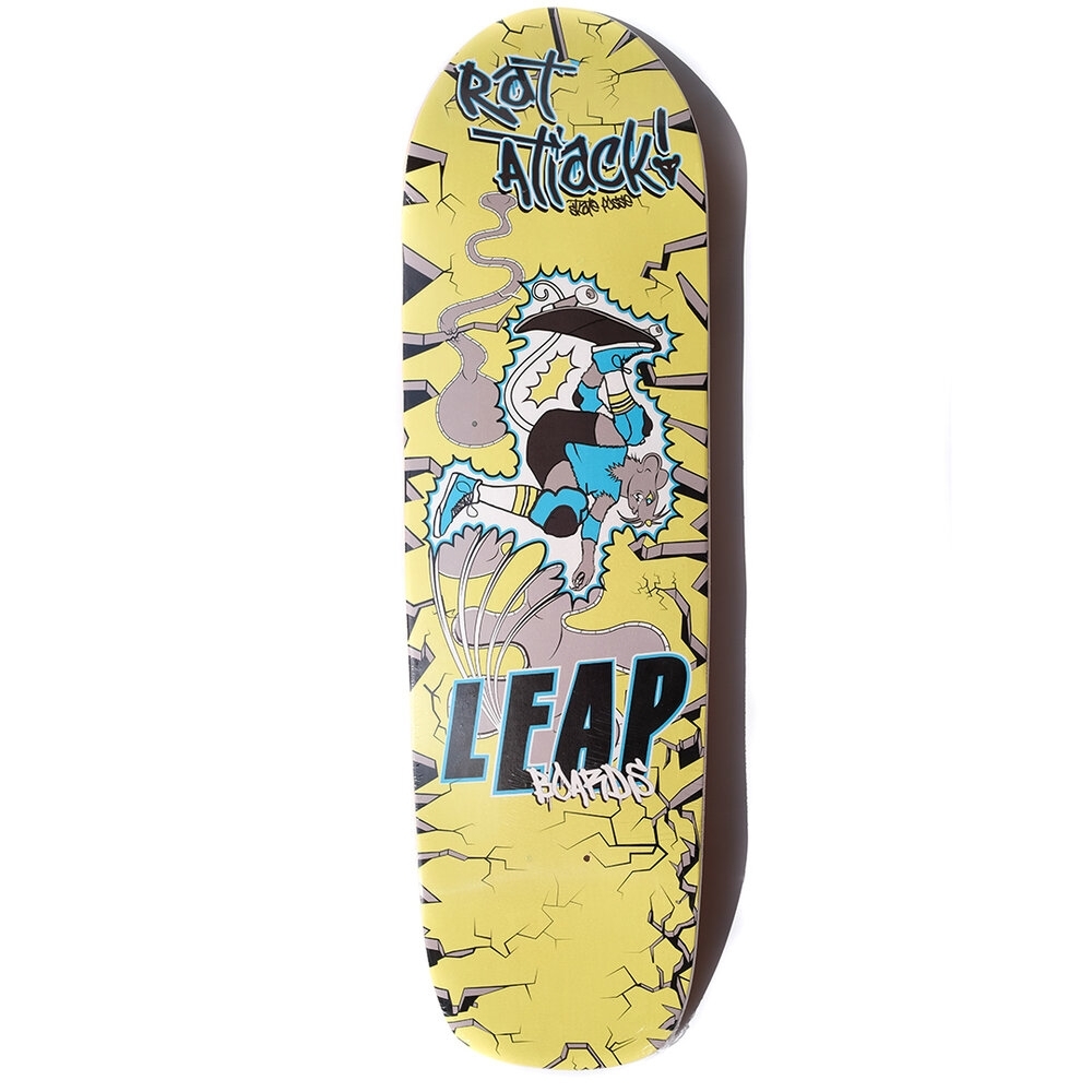 Delaware Skateboarding Snowboarding Surf SUP