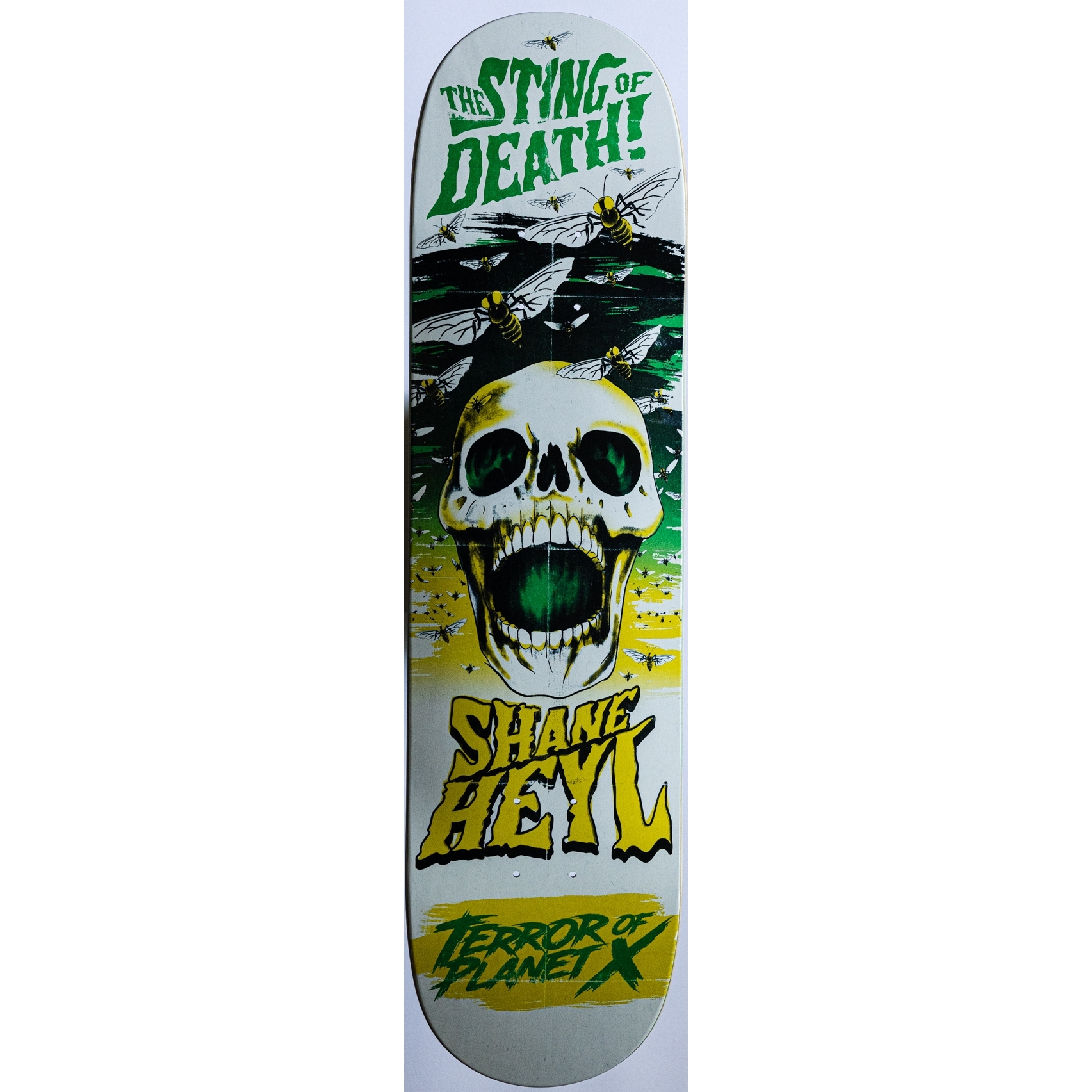 Delaware Skateboarding Snowboarding Surf SUP