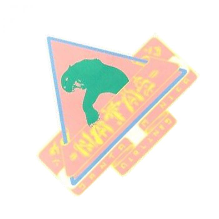 Santa Monica Airlines Natas Sticker Accessories Stickers at Westside Tarpon