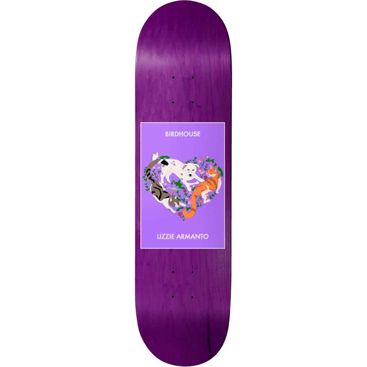 Birdhouse Skateboard Decks Product